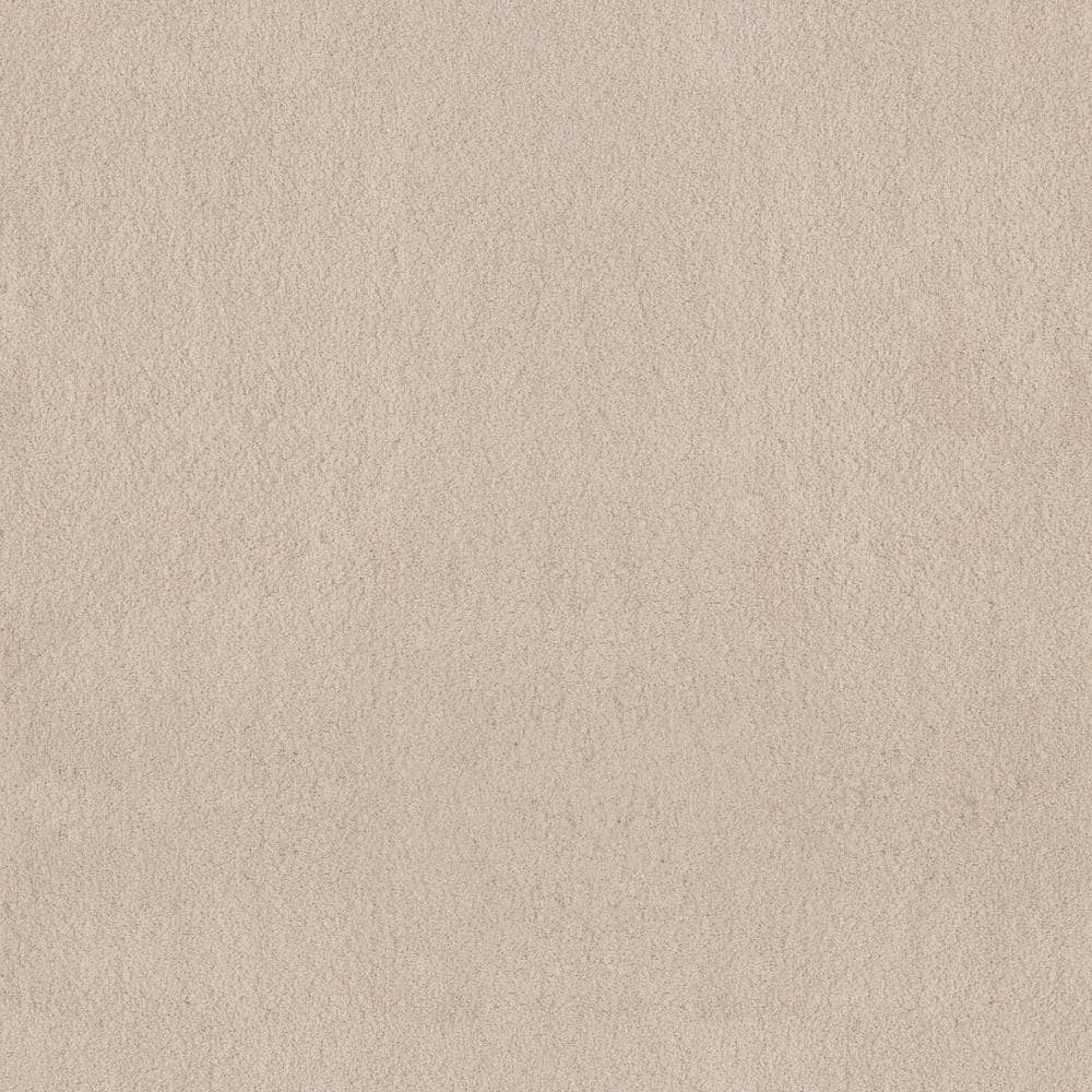 Lifeproof Dreamy Daze II Glo Beige 66 oz. Nylon Texture Carpet ...