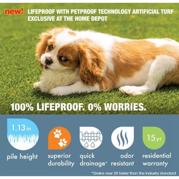 Lifeproof with Petproof Technology Premium Pet Turf 7.5 ft. x 10 ft ...