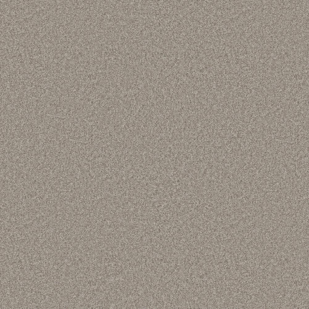 Lifeproof Rosemary II - Nile-Beige 12 ft. 56 oz. High Performance ...