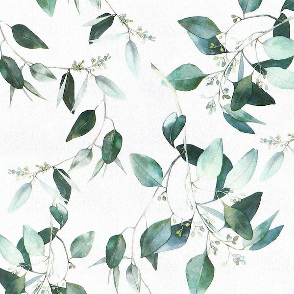 Green Eucalyptus Leaf Contact Paper Peel and Stick Wallpaper Roll ...