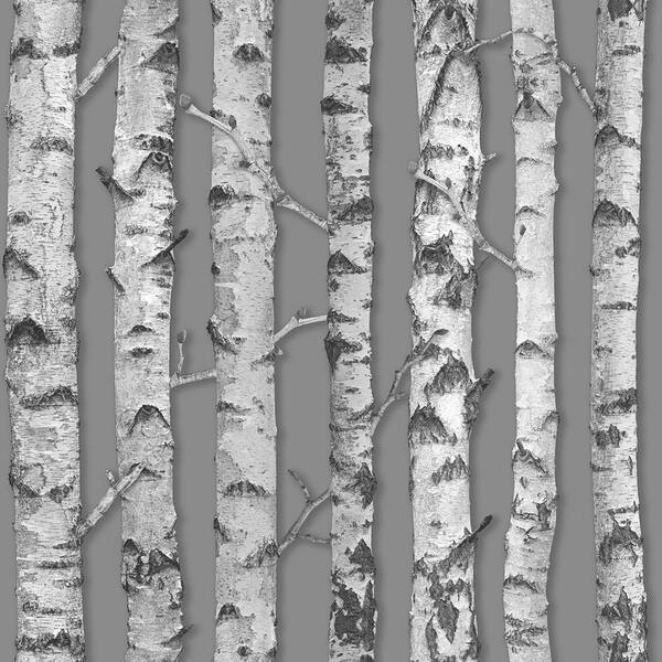 ESTA Home Merman Grey Birch Tree Grey Wallpaper Sample DD138892SAM