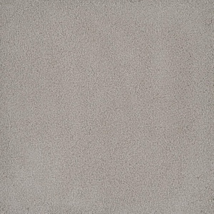 Home Decorators Collection 8 in. x 8 in. Texture Carpet Sample - First ...