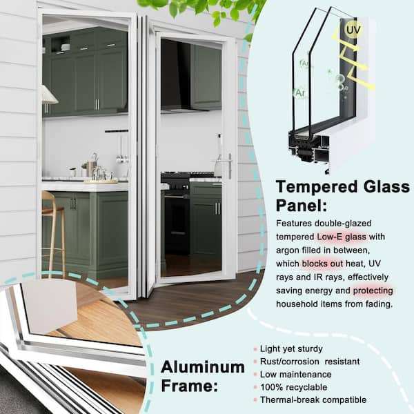 ARK DESIGN 108 in. x 80 in. Right Swing/Outswing Double Tempered Glass ...