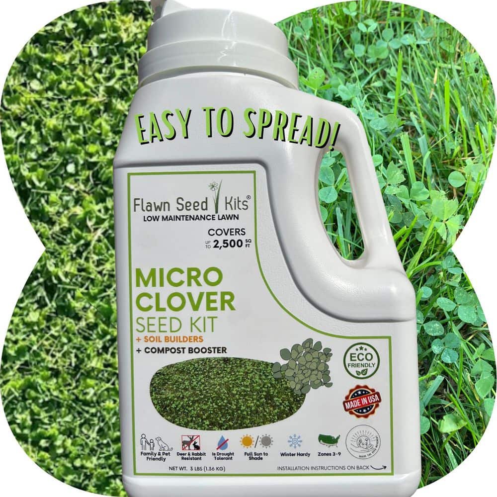 Flawn Seed Kits Micro Clover Alternative Grass Seed, Org Coated, Eco ...