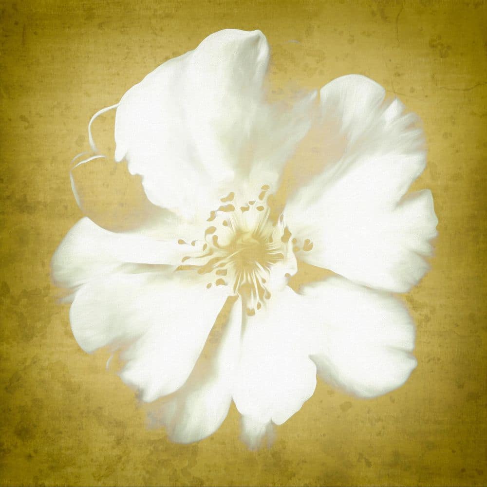 VENICE BEACH Collections Guilded Rose by Grotto Studios 1 Piece ...