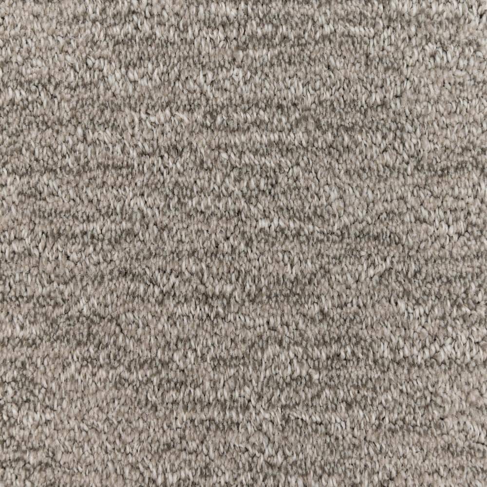 Reviews for Home Decorators Collection Electric Love - Franco - Beige ...