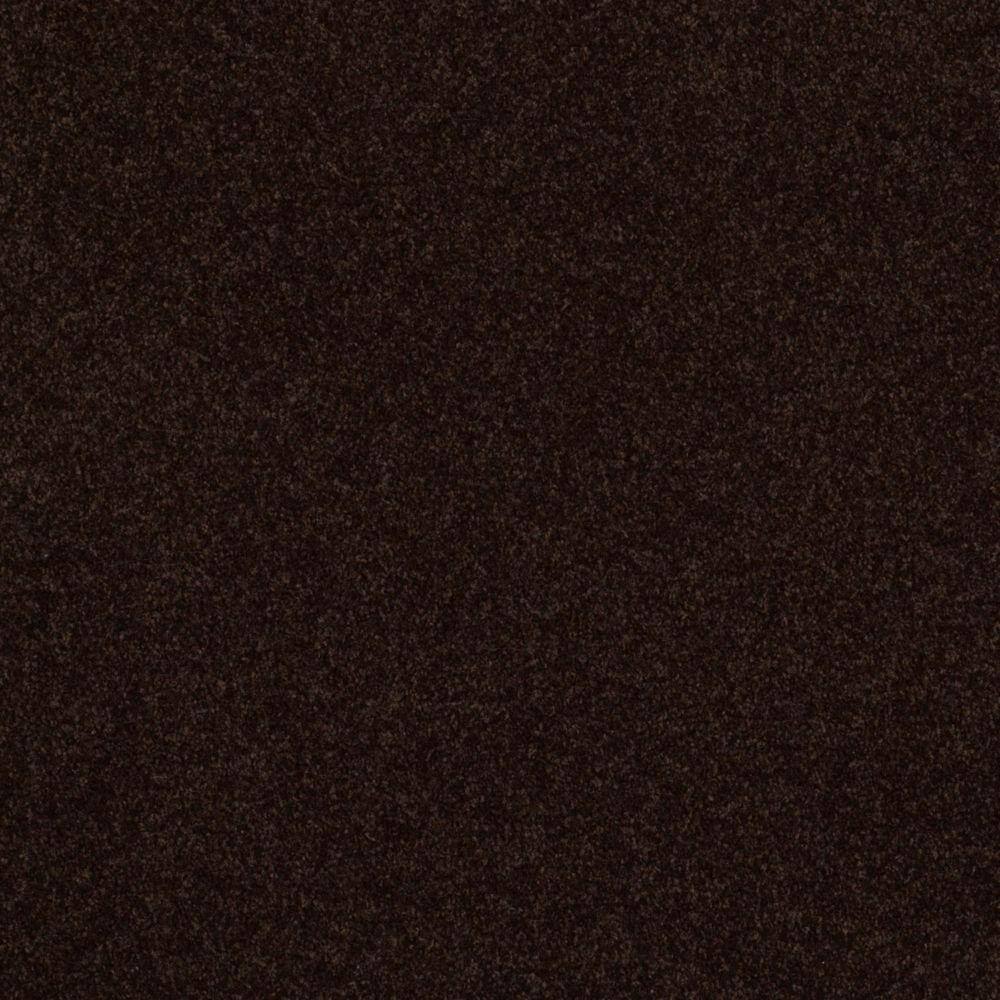 Rapturous I - Color Warm Oak 12 ft. Carpet HDB5354709 - The Home Depot