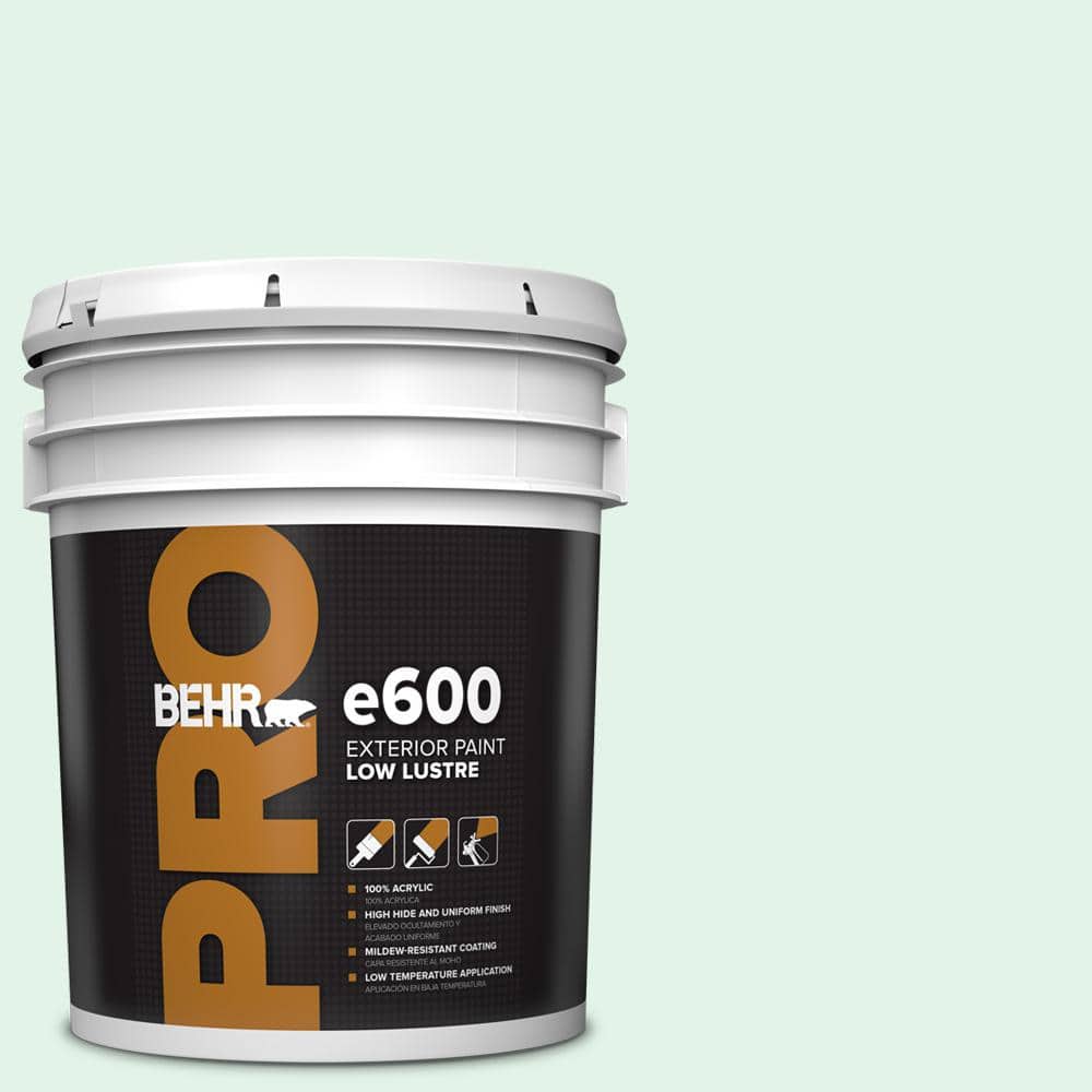 BEHR PRO 5 gal. #480C-1 Light Mint Low Luster Exterior Paint PR62005 ...
