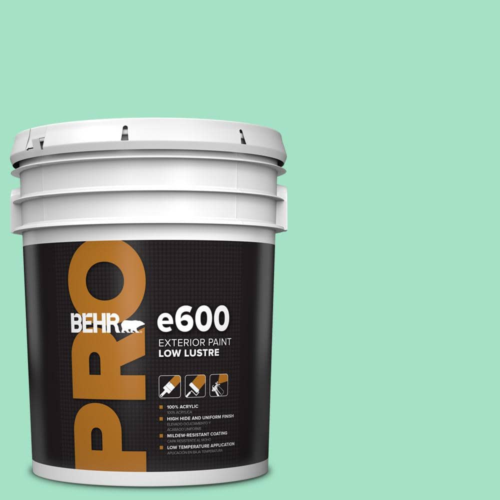 BEHR PRO 5 gal. #470A-3 Reef Green Low Luster Exterior Paint PR62005 ...