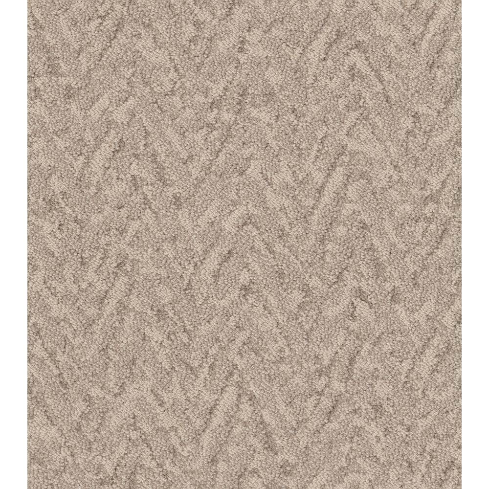 Shaw 8 in. x 8 in. Pattern Carpet Sample - Catskills - Color Urban Loft ...