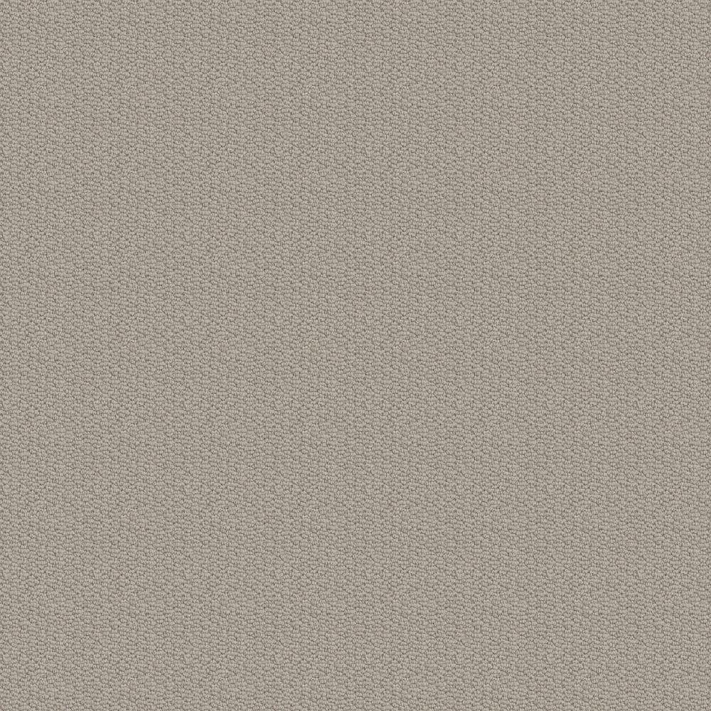 Lifeproof 8 in. x 8 in. Pattern Carpet Sample - Summerville -Color ...