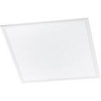 LUXRITE 24 in. x 48 in. 5000 Lumens Integrated LED Panel Light 50-Watt ...