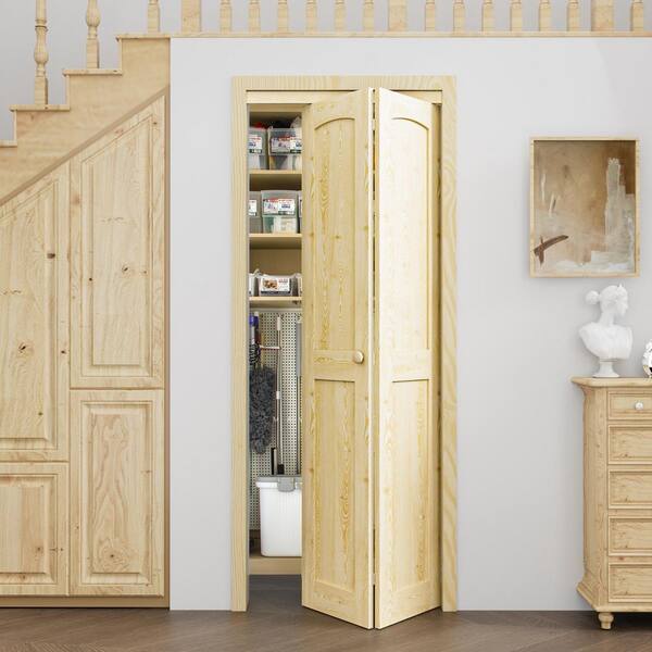 ARK DESIGN 30 in. x 80 in. Arch Panel 2-Lite Solid Core Unfinished Pine ...