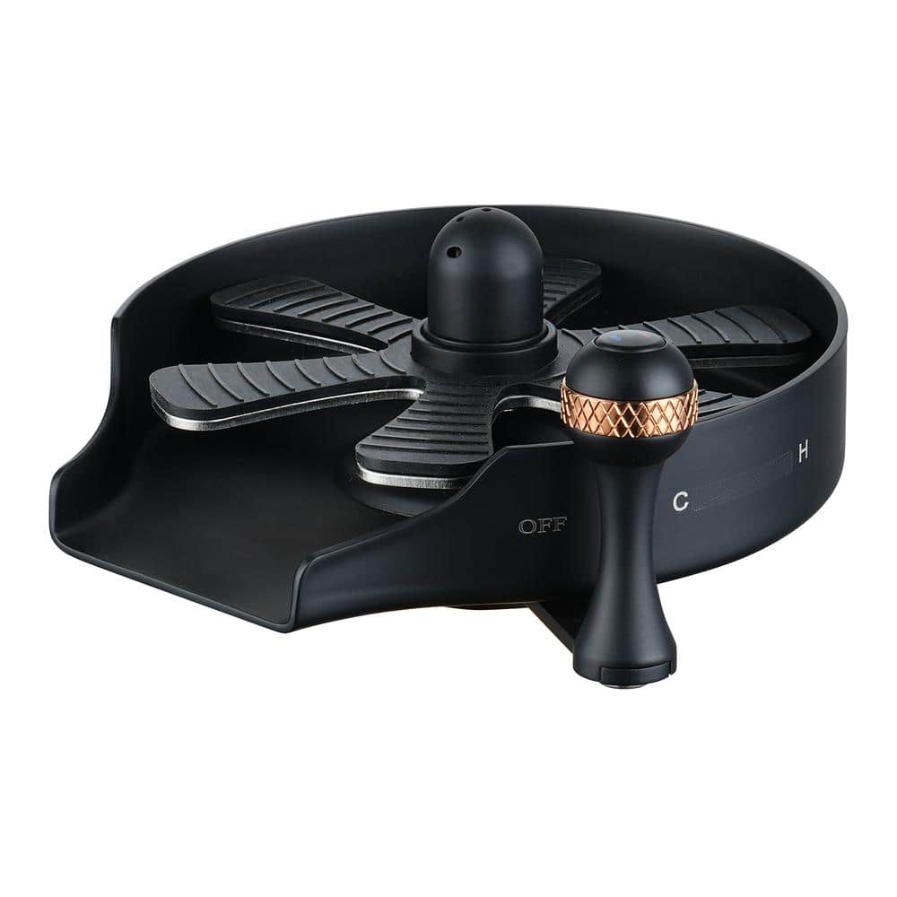 Boyel Living 5 in. Stainless Steel Glass Rinser with Hot and Cold Water ...