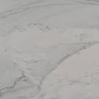 STONEMARK 3 in. x 3 in. Quartzite Countertop Sample in Florida Wave P ...