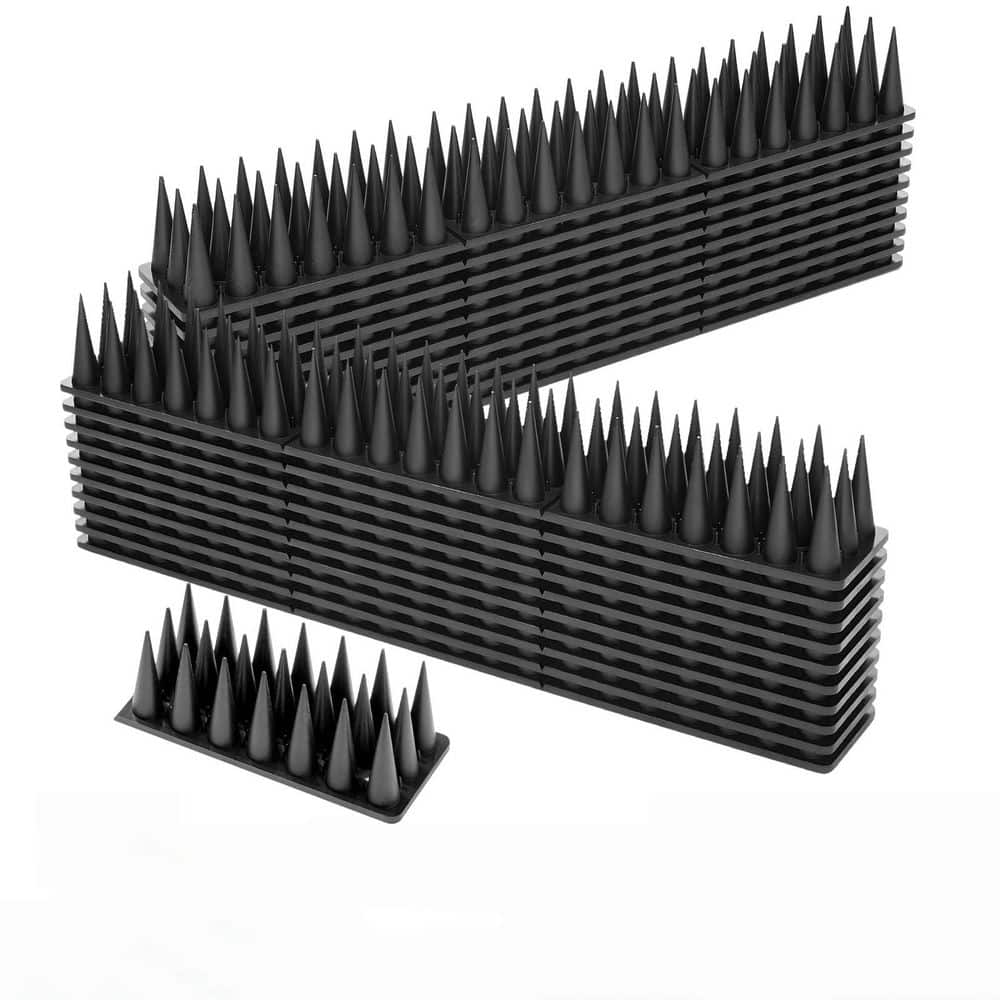 OGETFUUR Black Bird Spikes, Animal Deterrent Spikes for Bird, Squirrel ...