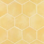 Ivy Hill Tile Eclipse Burst Black 7.79 in. x 8.98 in. Matte Porcelain ...