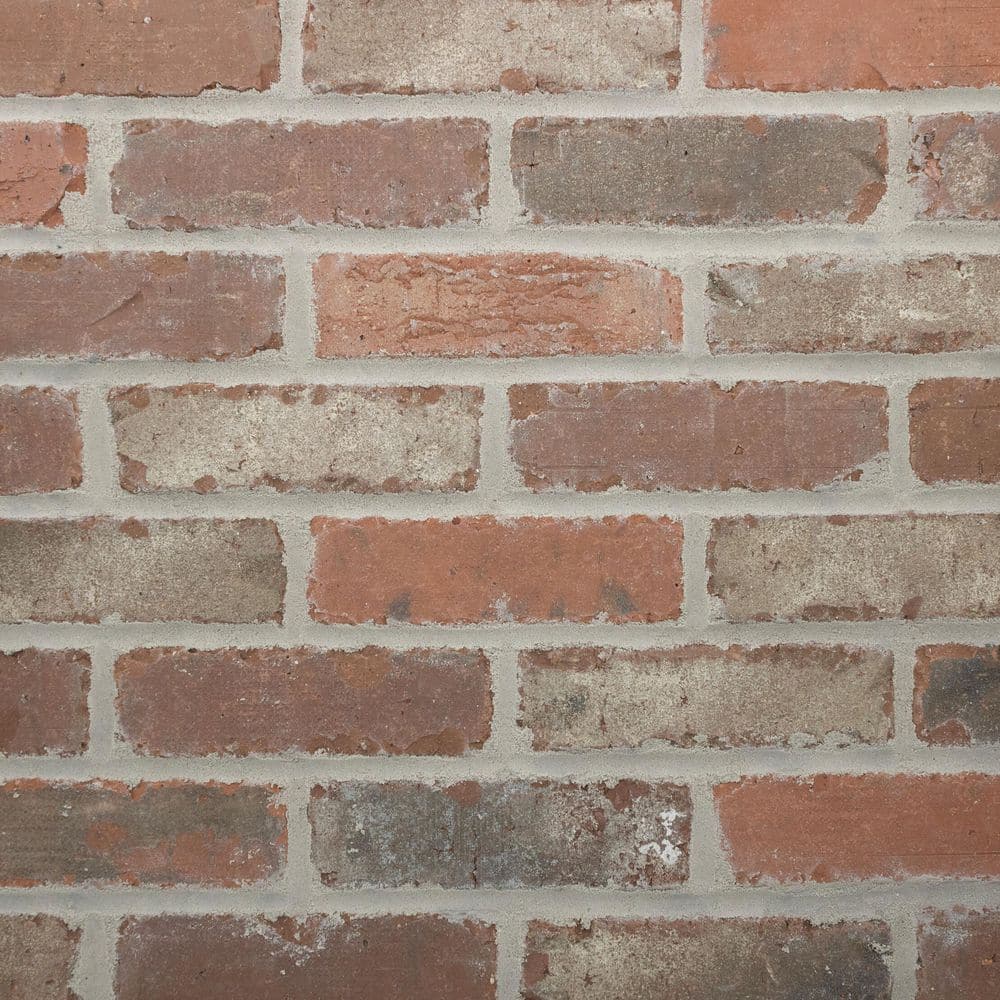 Old Mill Brick Sample Box Escalante Thin Brick 7.625 in. x 2.25 in. x 0 ...