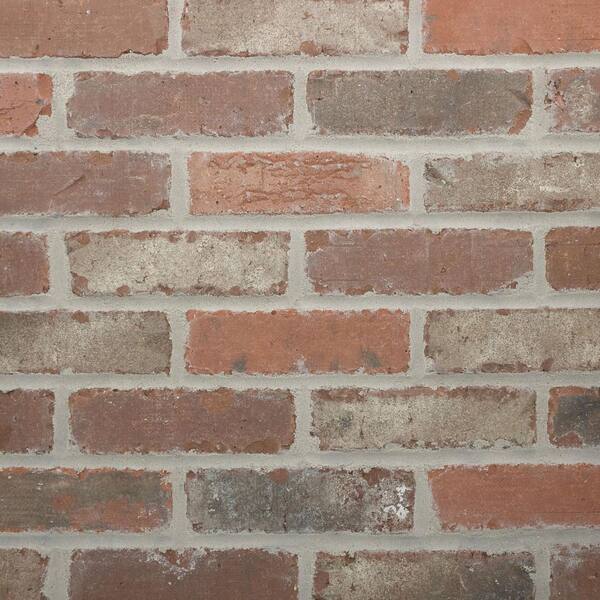 Old Mill Brick Sample Box Escalante Thin Brick 7.625 in. x 2.25 in. x 0 ...