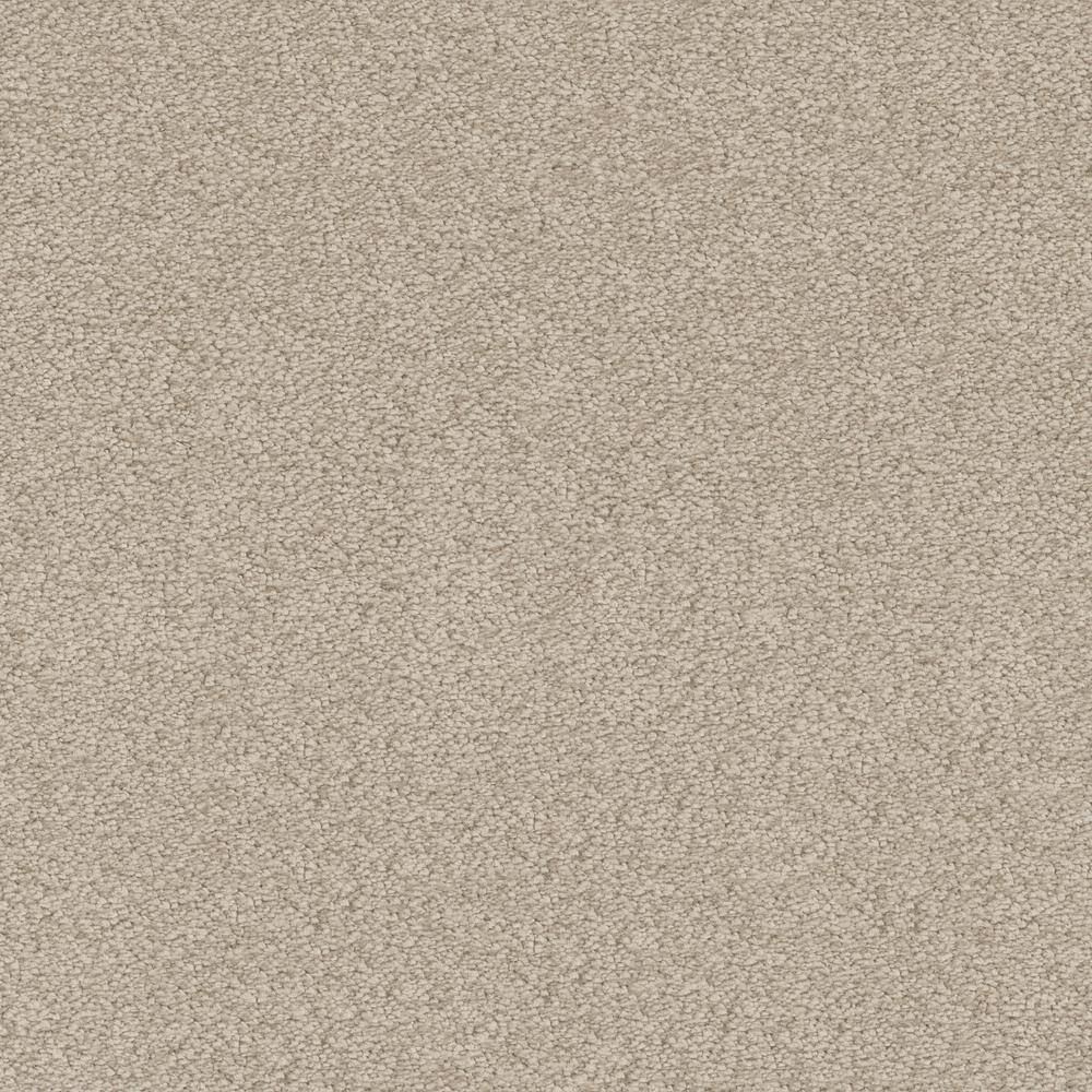 Home Decorators Collection Perfected I - Fine Tuned - Beige 40 oz. SD ...