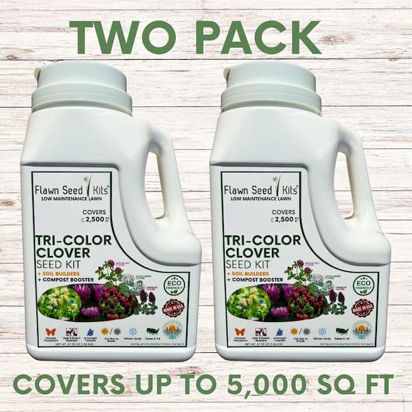 Outdoor Planting Flower Seeds, Wildflower Mixed Seeds HP0E5ONAO0 - The ...