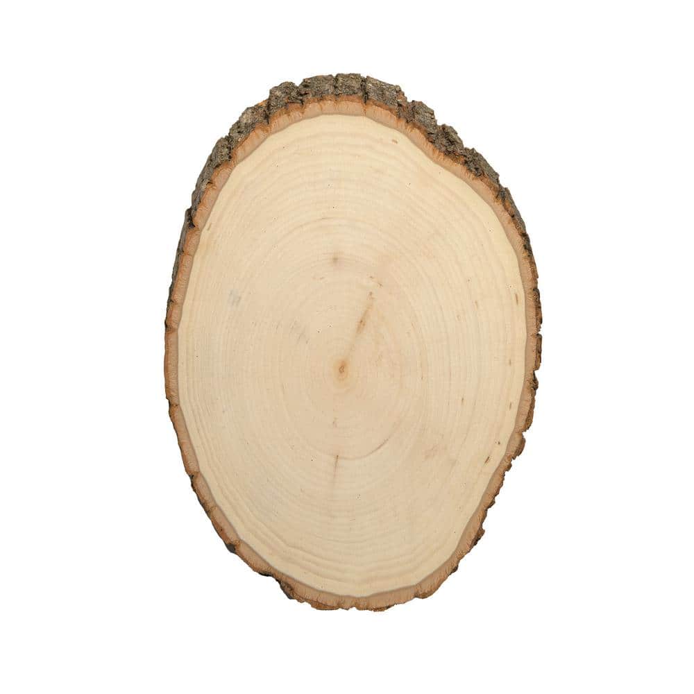 Walnut Hollow 1 in. x 8 in. x 8 in. Rustic Basswood Medium Round Live ...