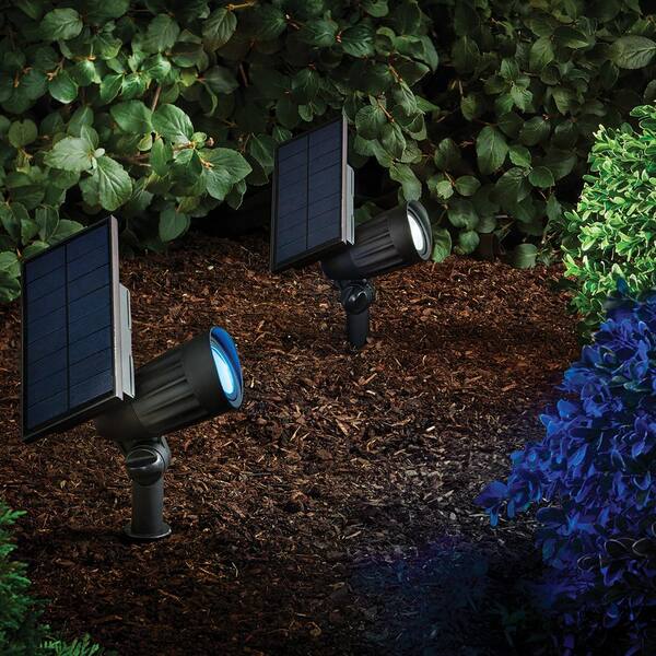 Hampton Bay Solar Spotlight KODA Solar LED Rock Spotlight 4 Pack