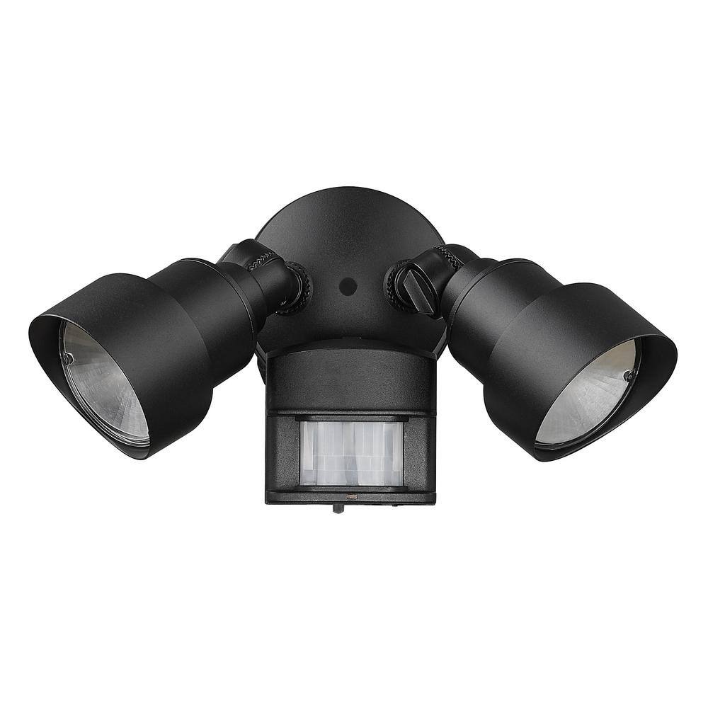 Acclaim Lighting 24 Lumen Flood Lights 2-Light Matte Black Motion ...