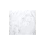 EMSER TILE Marble Winter Frost Polished 17.99 in. x 17.99 in. Marble ...