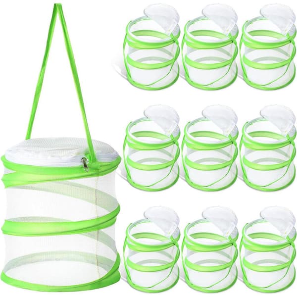 Cubilan 10 Pcs Mini Butterfly Habitat Cage Clear Mesh Butterfly Net ...