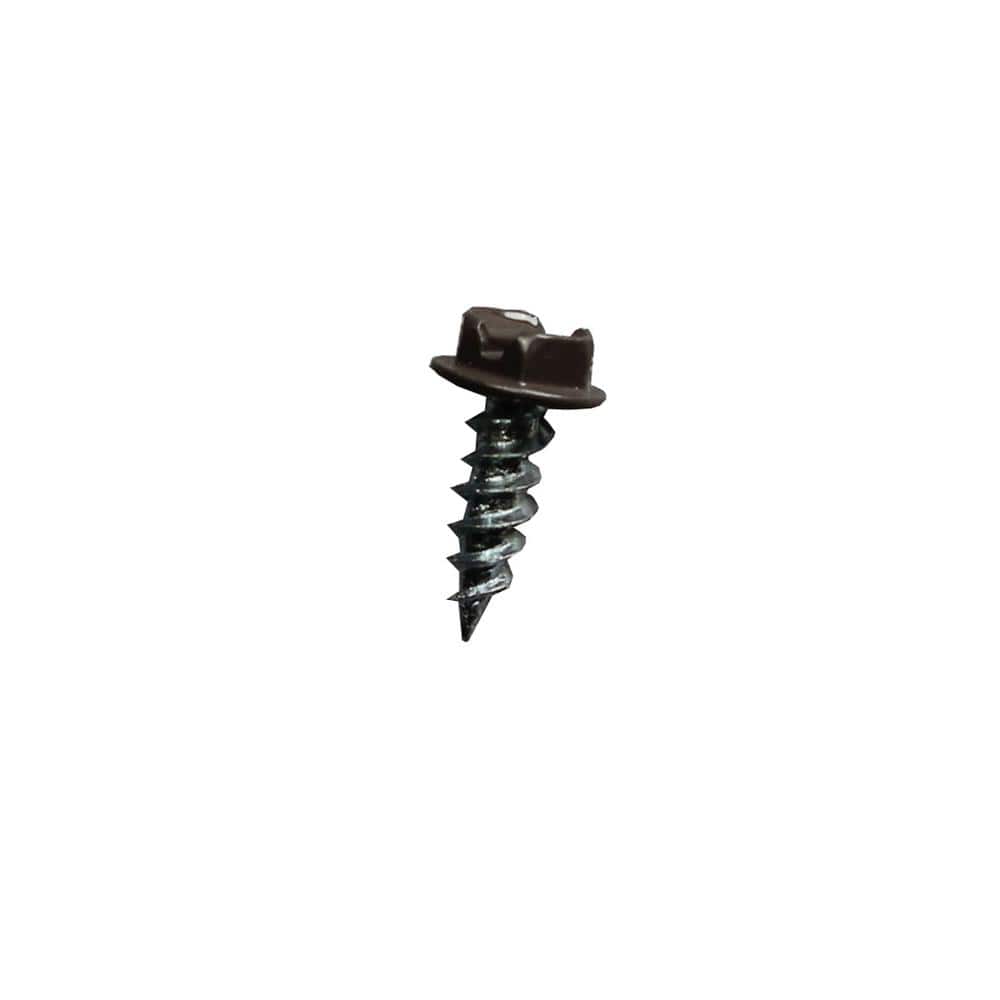 Spectra Pro Select Spectra 8 x 1/2 in. Musket Brown Zip Screw (10-Pack ...