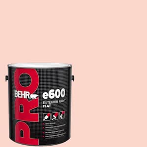 BEHR PRO 1 gal. #P180-1 Deco Shell Low Luster Exterior Paint PR62001 ...