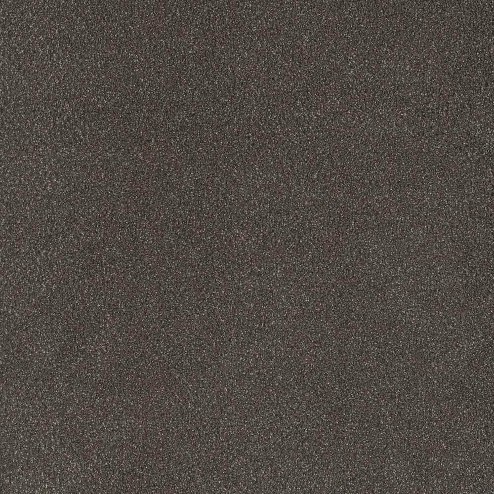 Home Decorators Collection 8 in. x 8 in. Texture Carpet Sample - First ...