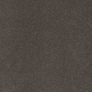 Home Decorators Collection 8 in. x 8 in. Texture Carpet Sample - First ...