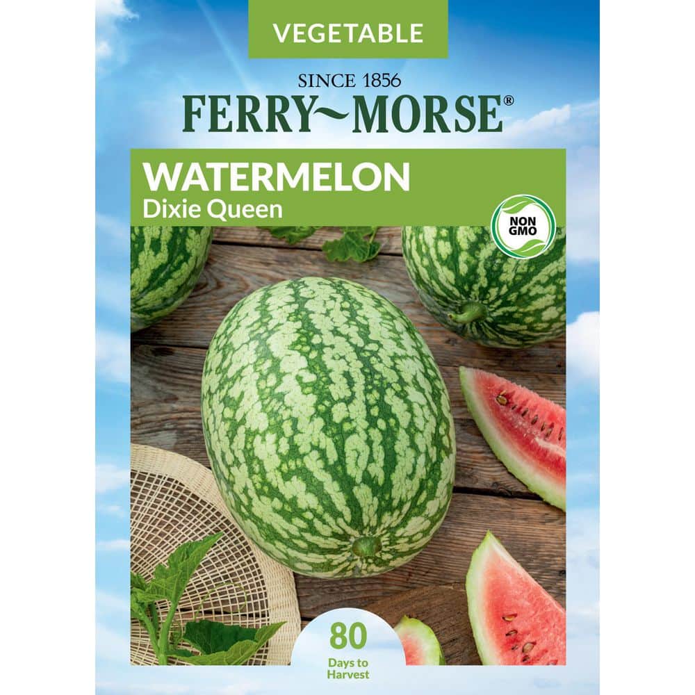 Ferry-Morse Watermelon Dixie Queen Fruit Seeds 2946 - The Home Depot