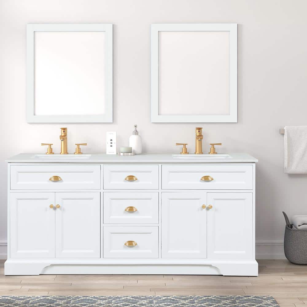 Eviva Epic 72 in. W x 22 in. D x 34 in. H Double Bathroom Vanity in ...