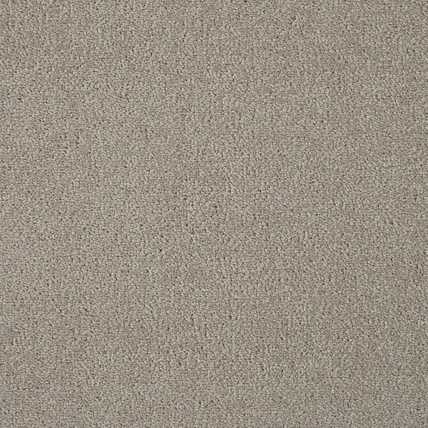 Natural Harmony 6 in. x 6 in. Texture Carpet Sample - Feather - Color ...
