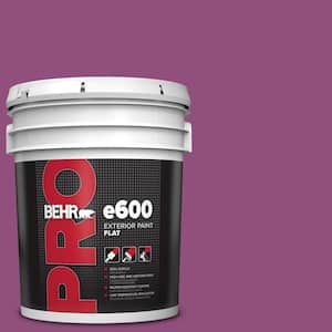 BEHR PRO 5 gal. #P110-7 XOXO Low Luster Exterior Paint PR62305 - The ...