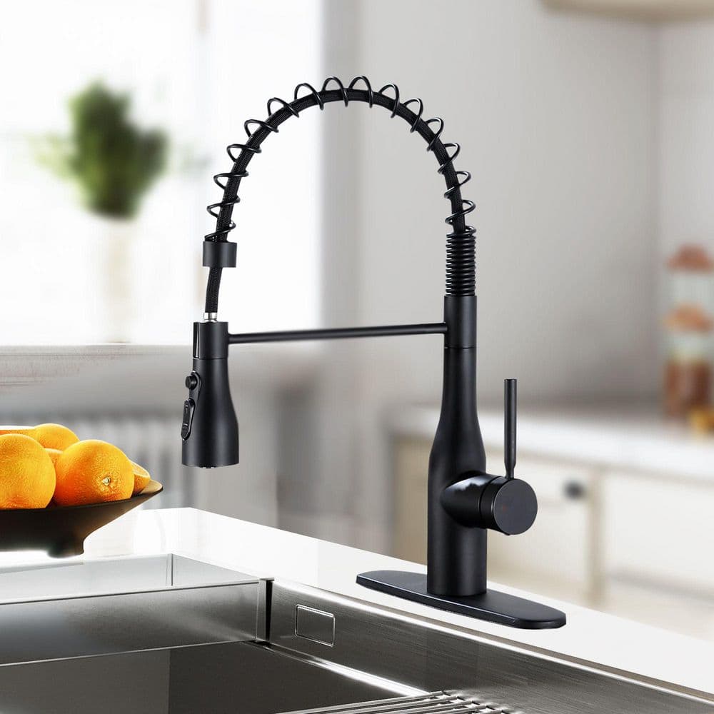 Fun Orange 16.9 in. Matte Black Single-Handle Pull-Down Sprayer Kitchen ...