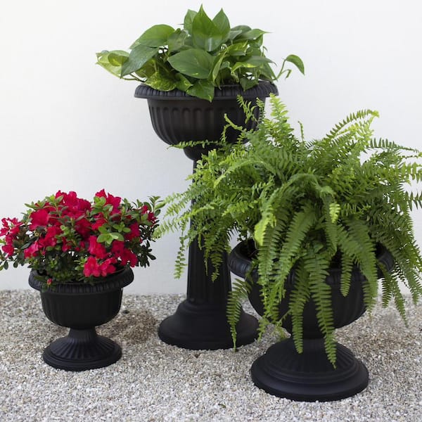 Bloem Grecian Urn 12 in. Black