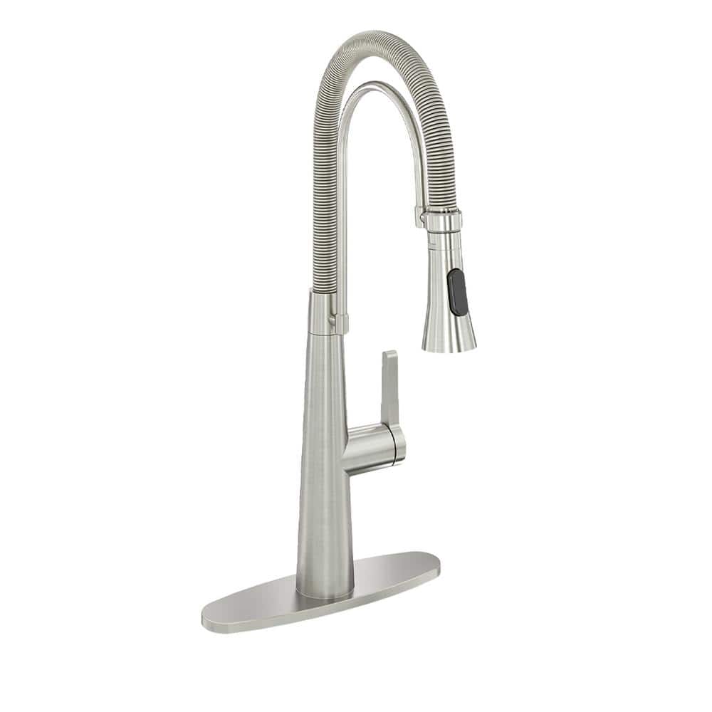 cadeninc Single Handle Spring Neck Standard Kitchen Faucet in Brushed ...