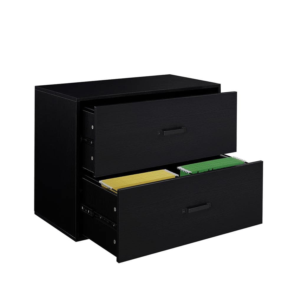 Wateday Black File Cabinet with 2-Drawers YJ-YUKI9595658 - The Home Depot