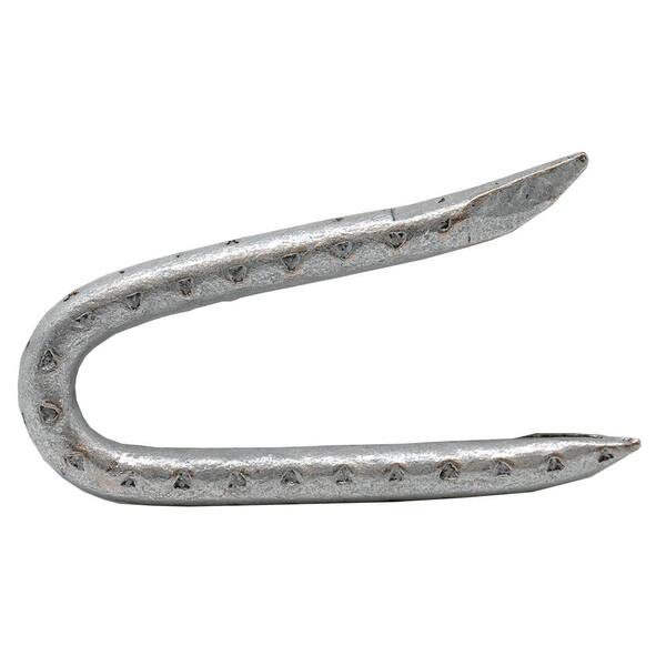 PRO-FIT 1-1/2 in. Hot Dipped Galvanized Fence Staple 1 lb. (71-Count ...