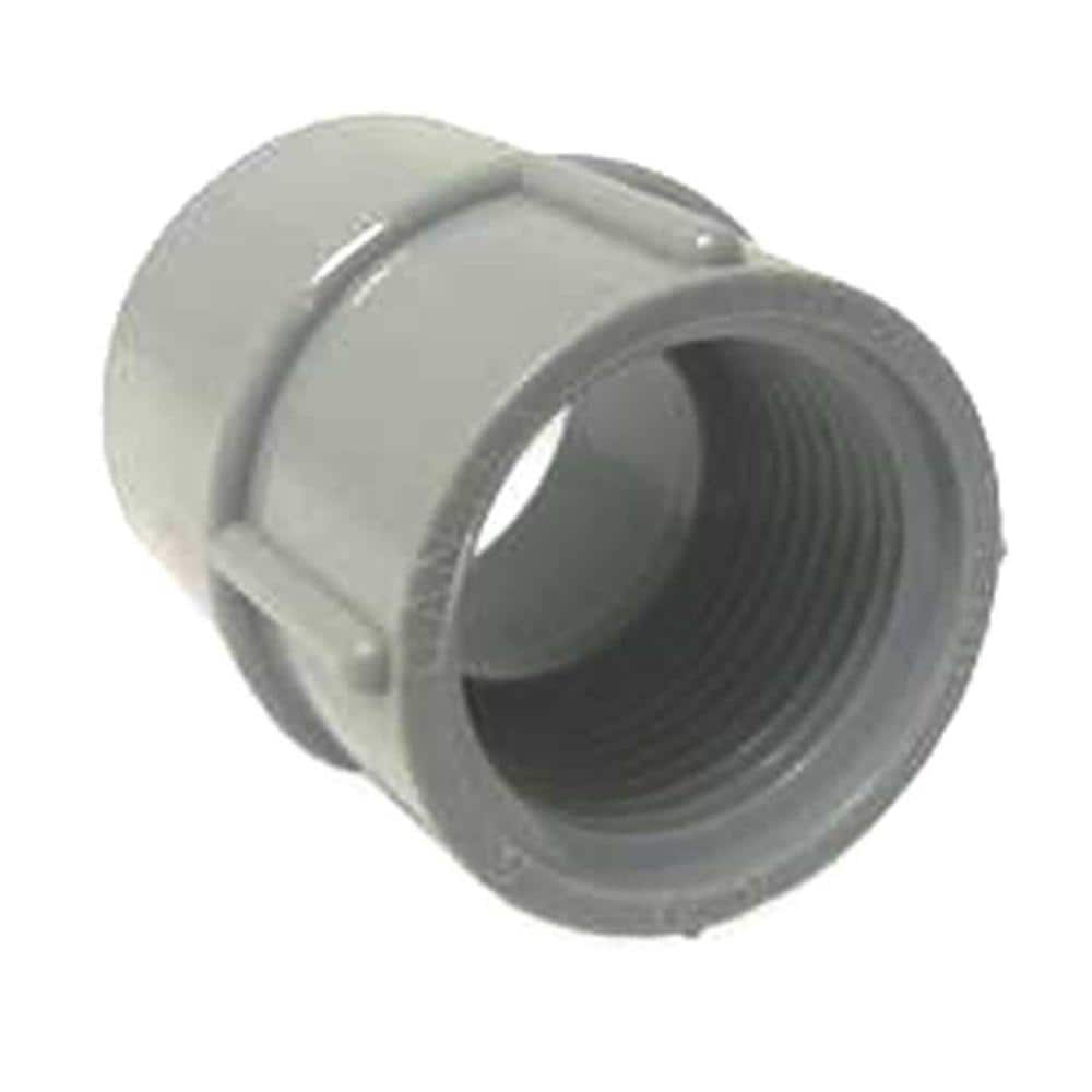 Cantex 2 In Pvc Female Adapter Conduit Fitting For Cantex Pvc Conduits