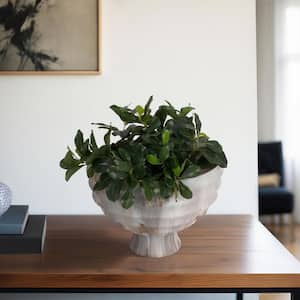 AndMakers Cherie 15 in. Round Italian Carrara White Marble Table with ...