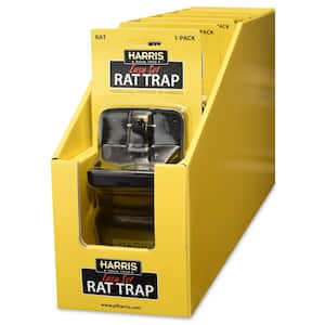 Harris Reusable Plastic Rat Trap (2 Pack) 2PRT-1