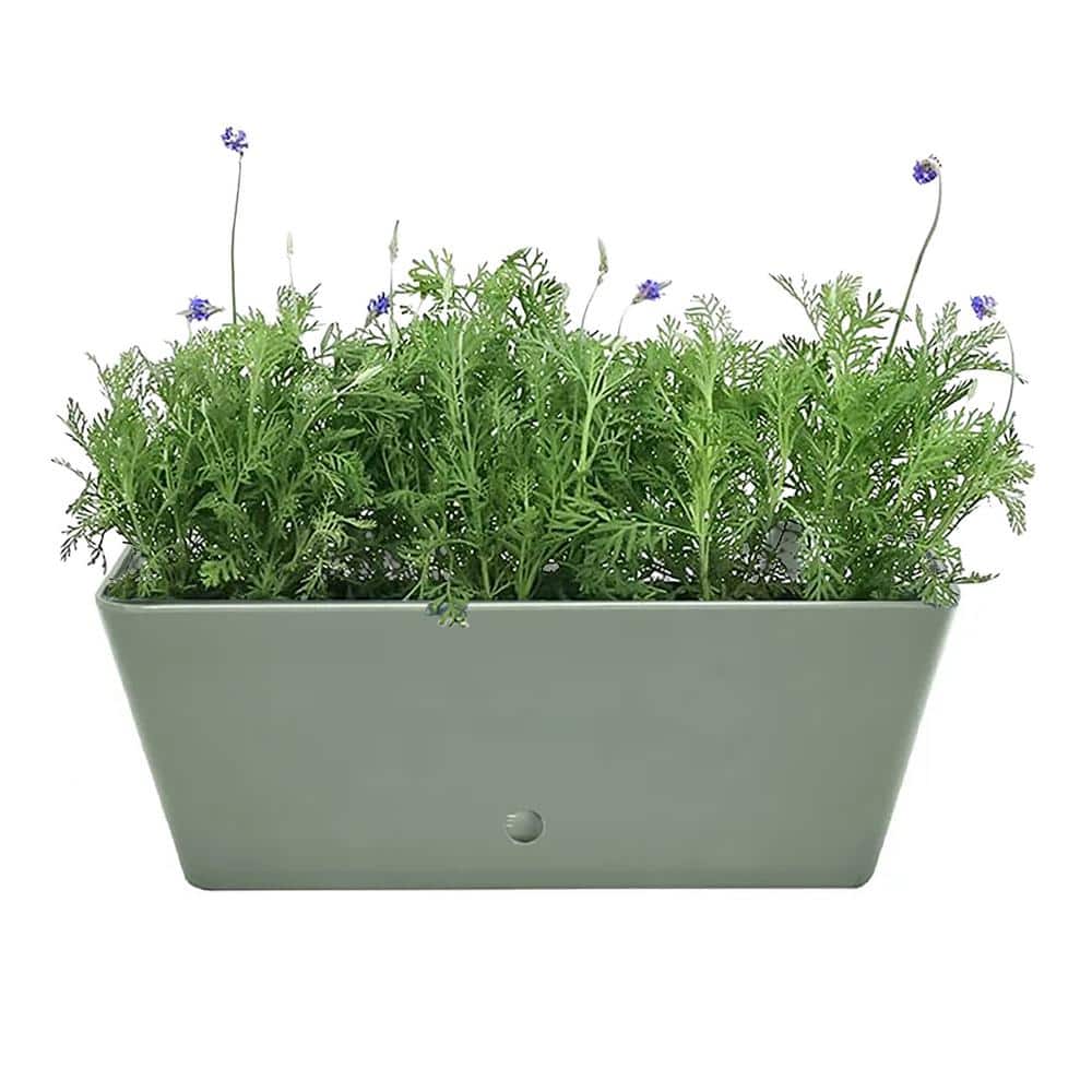 Bamboo-Blooms 16 in. L x 6.5 in. H x 7 in. W Sage Green Rectangular ...