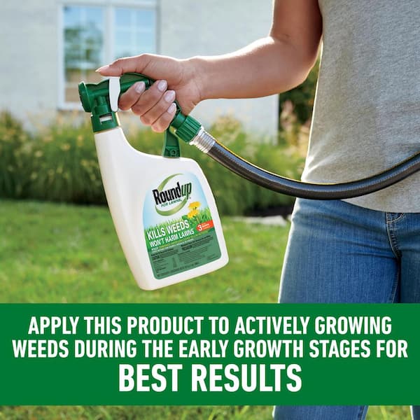 Roundup For Lawns₃ Selective Weed Killer Ready-To-Spray, 32 fl. oz. (2 ...