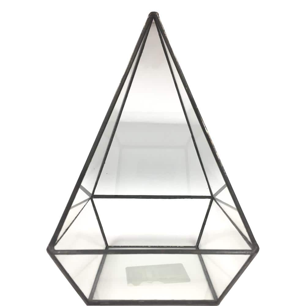 Arcadia Garden Products Geometric 5 in. x 8 in. Glass Pyramid Terrarium ...