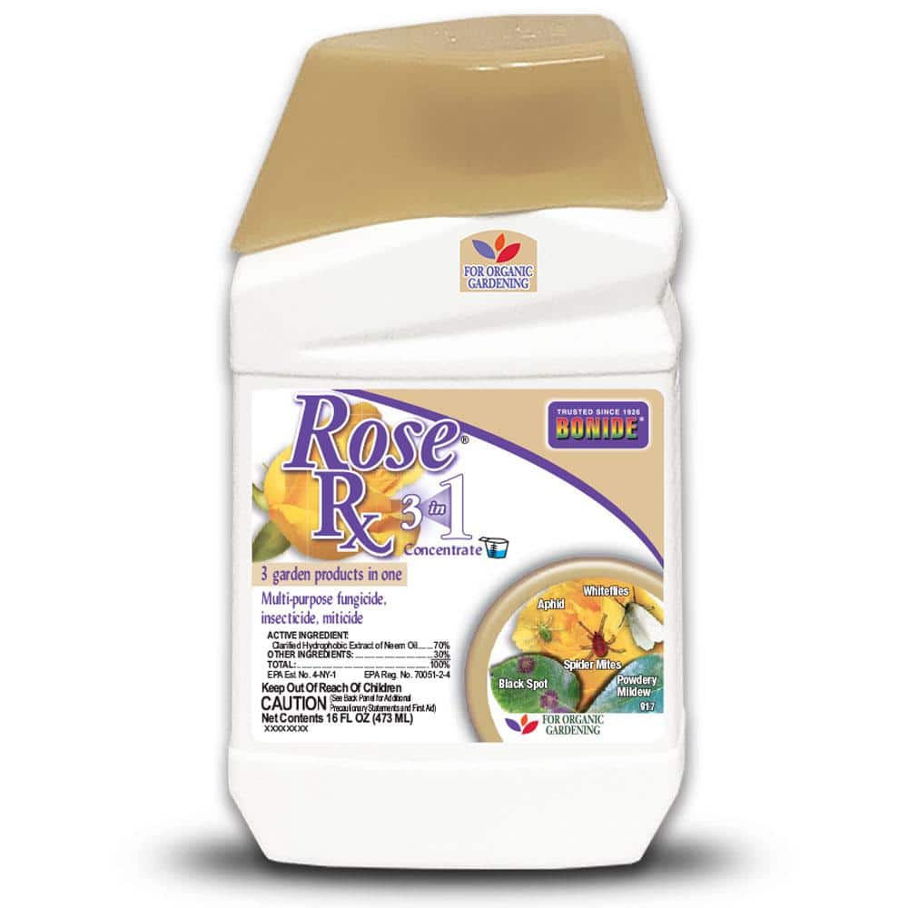 Bonide Rose Rx Multi-Purpose Fungicide, Insecticide and Miticide, 16 oz ...